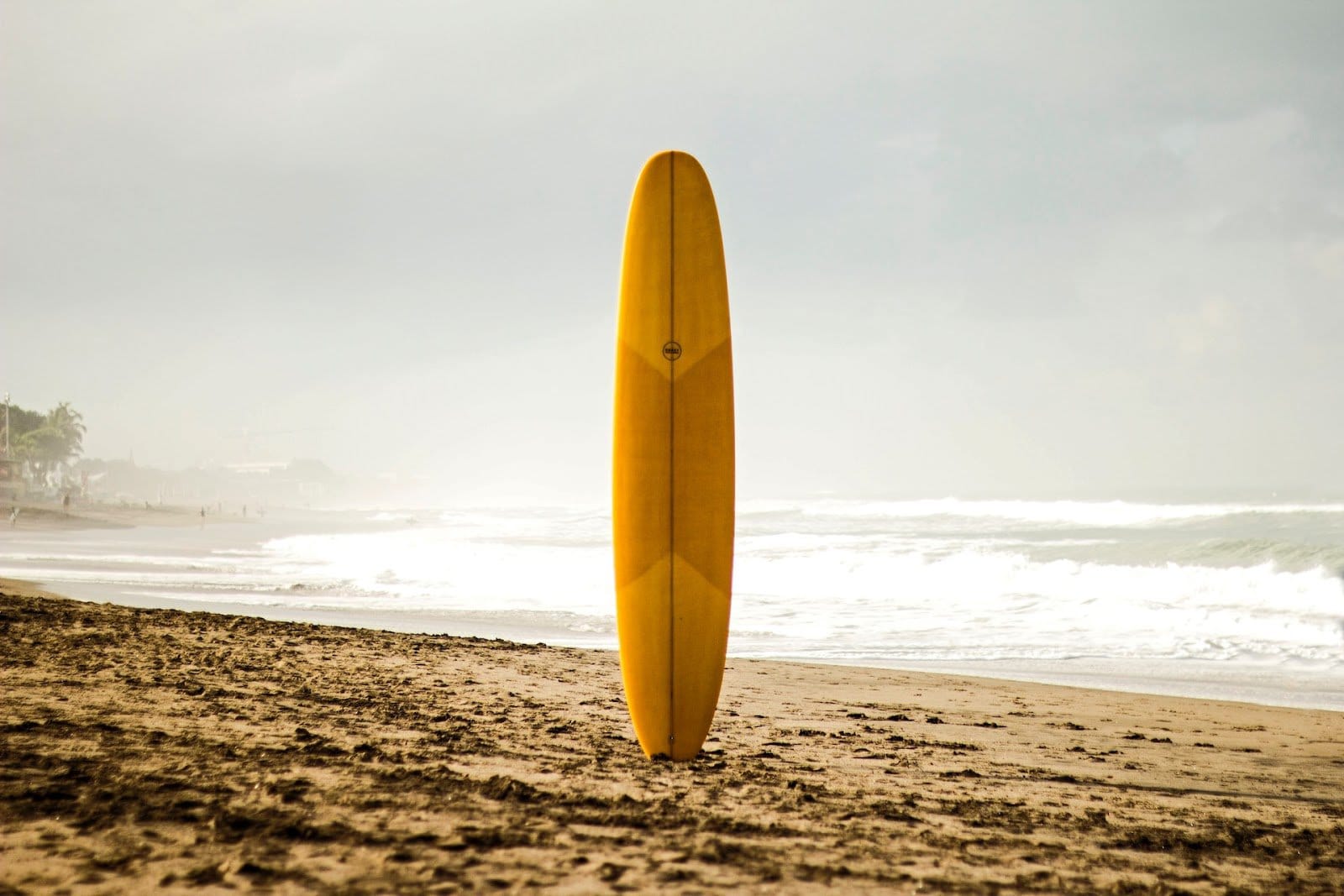 Surfing In Sardinia - 2026 The Top Surf Spots Guide
